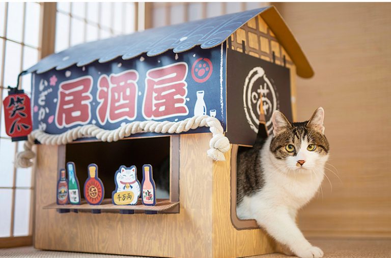 Cute Japanese Izakaya Restaurant Cat House – Viola Shopping